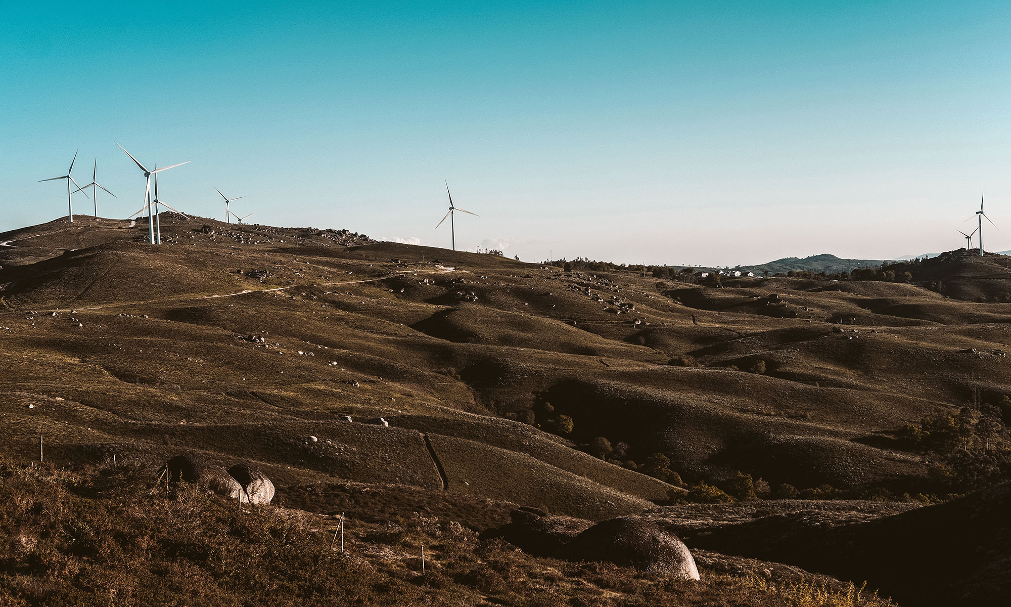 Experiências lá fora - TERRA ROSA | COUNTRY HOUSE & VINEYARDS